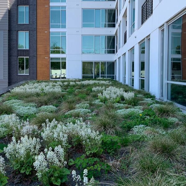 Vegetative Roofing & Garden Rooftop Installations | Baker Roofing